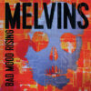 MELVINS - BAD MOOD RISING
