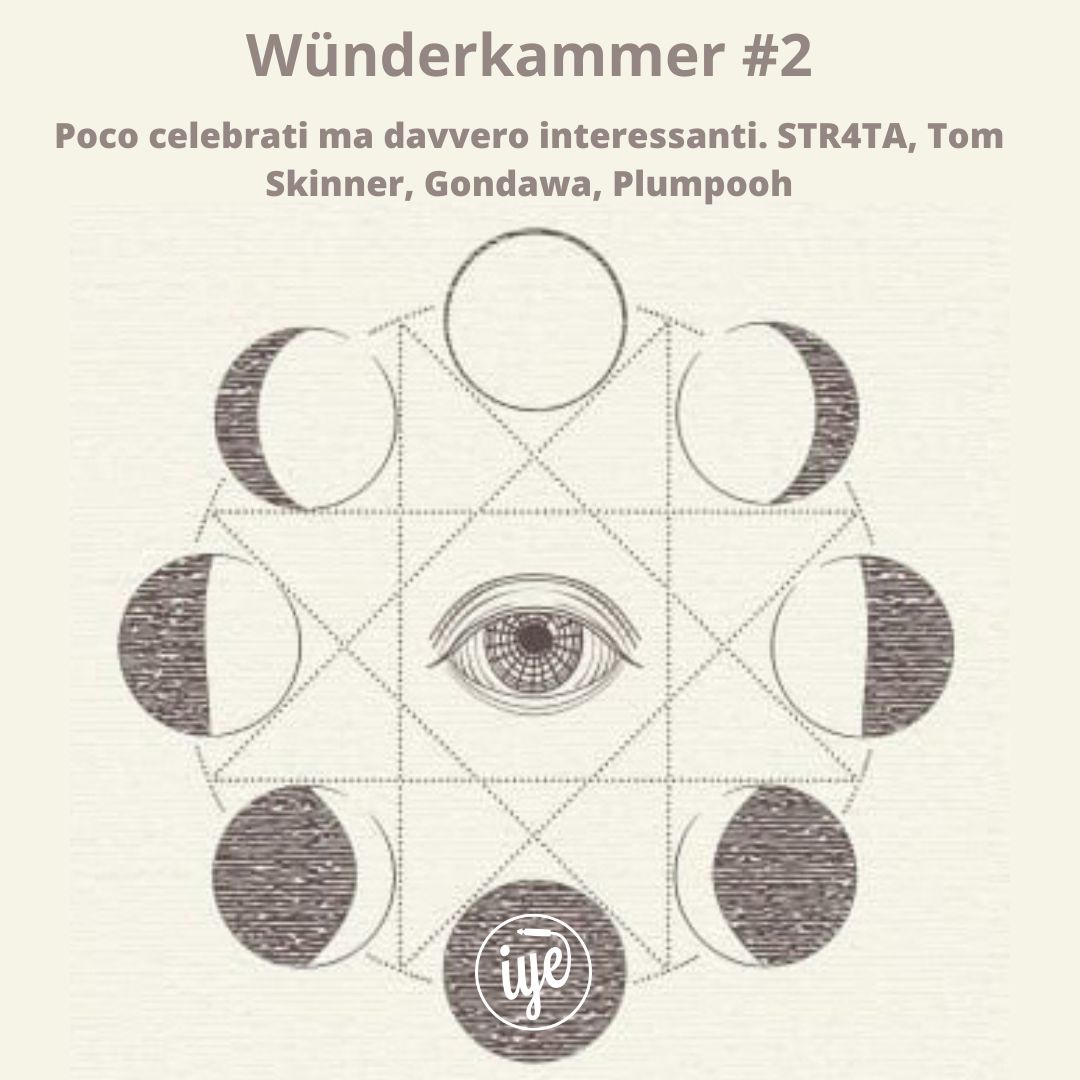 Wünderkammer #2: STR4TA, Tom Skinner, Gondawa, Plumpooh